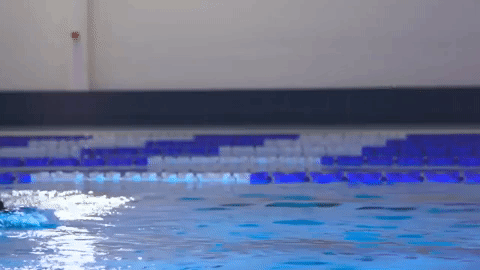 Front Crawl – Nextra