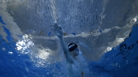 Front Crawl – Nextra