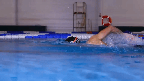 Front Crawl – Nextra